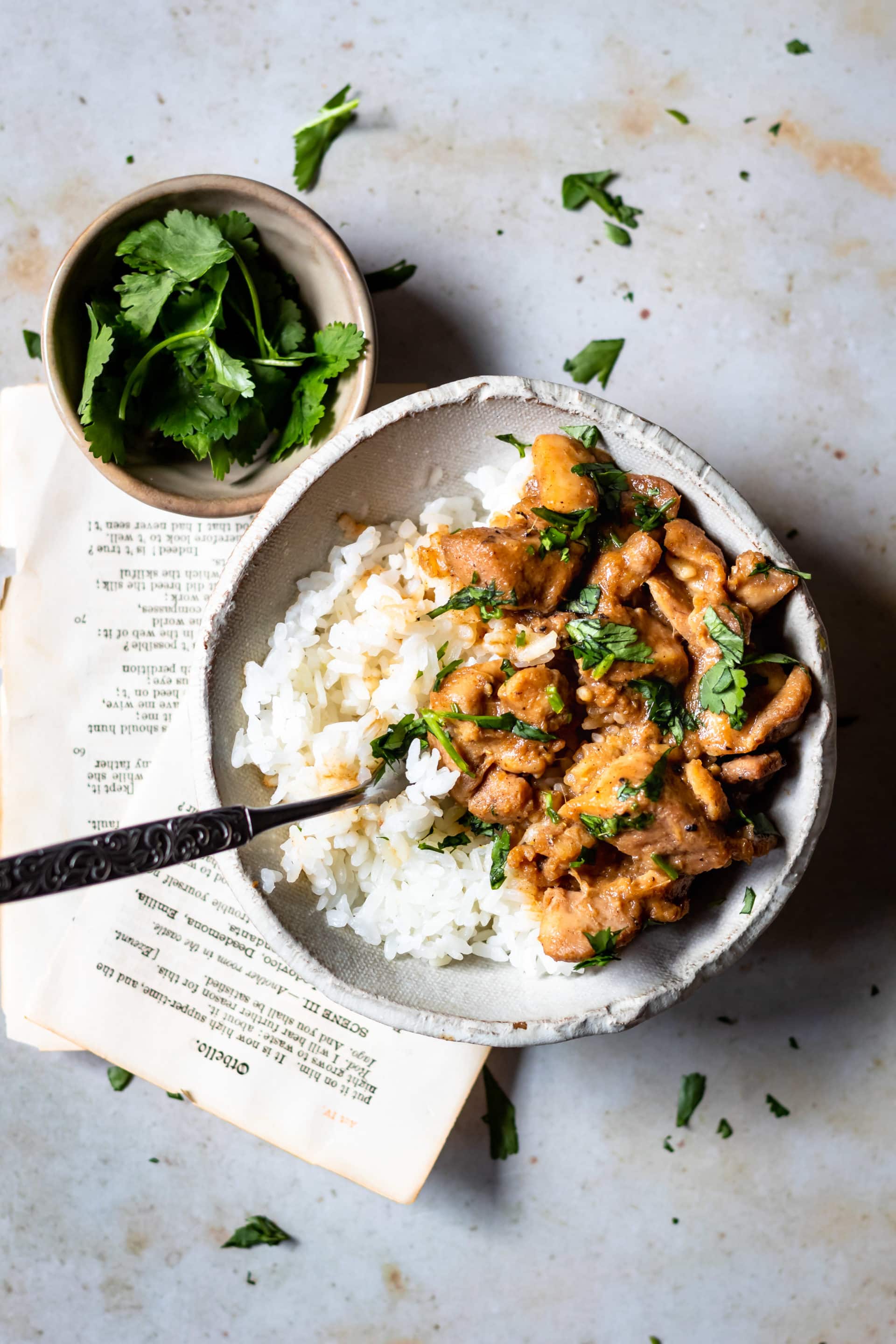 An Easy and Quick Burmese Chicken Curry - Cooking Therapy