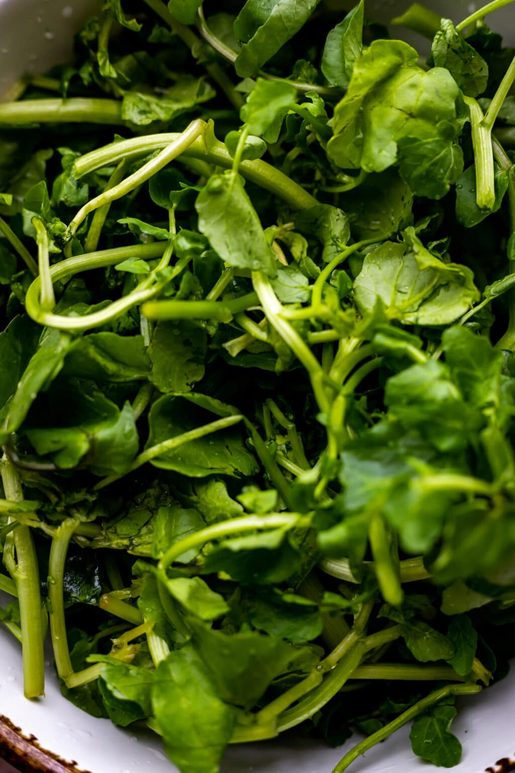 Vietnamese Beef and Watercress Salad - Cooking Therapy