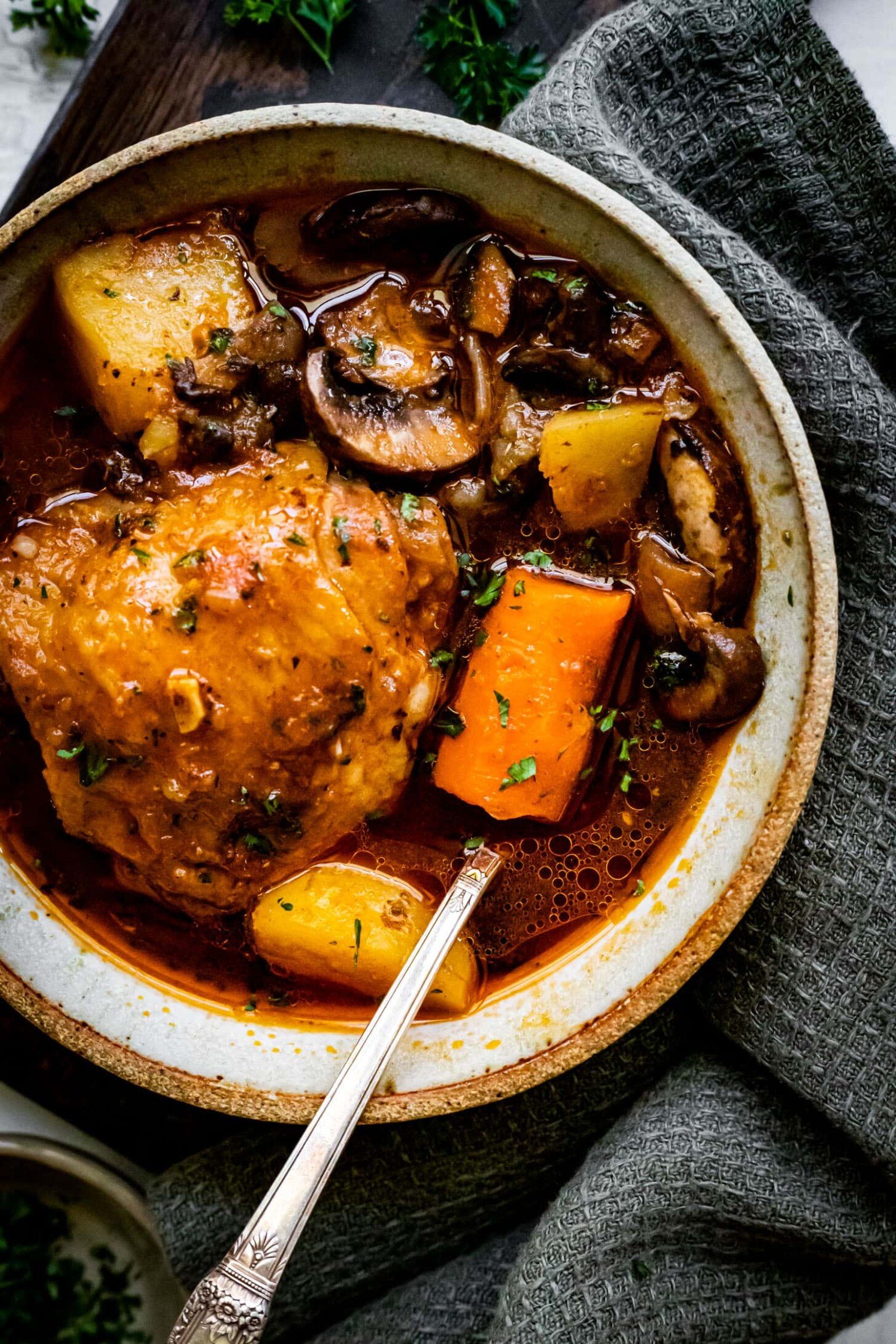 Ragu Ga (Vietnamese Chicken Ragu) - Cooking Therapy