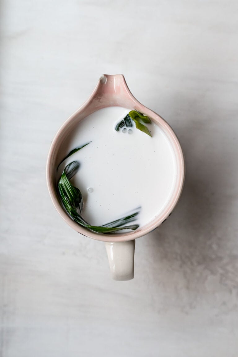 Pandan Ice Cream (made with pandan leaves) - Cooking Therapy