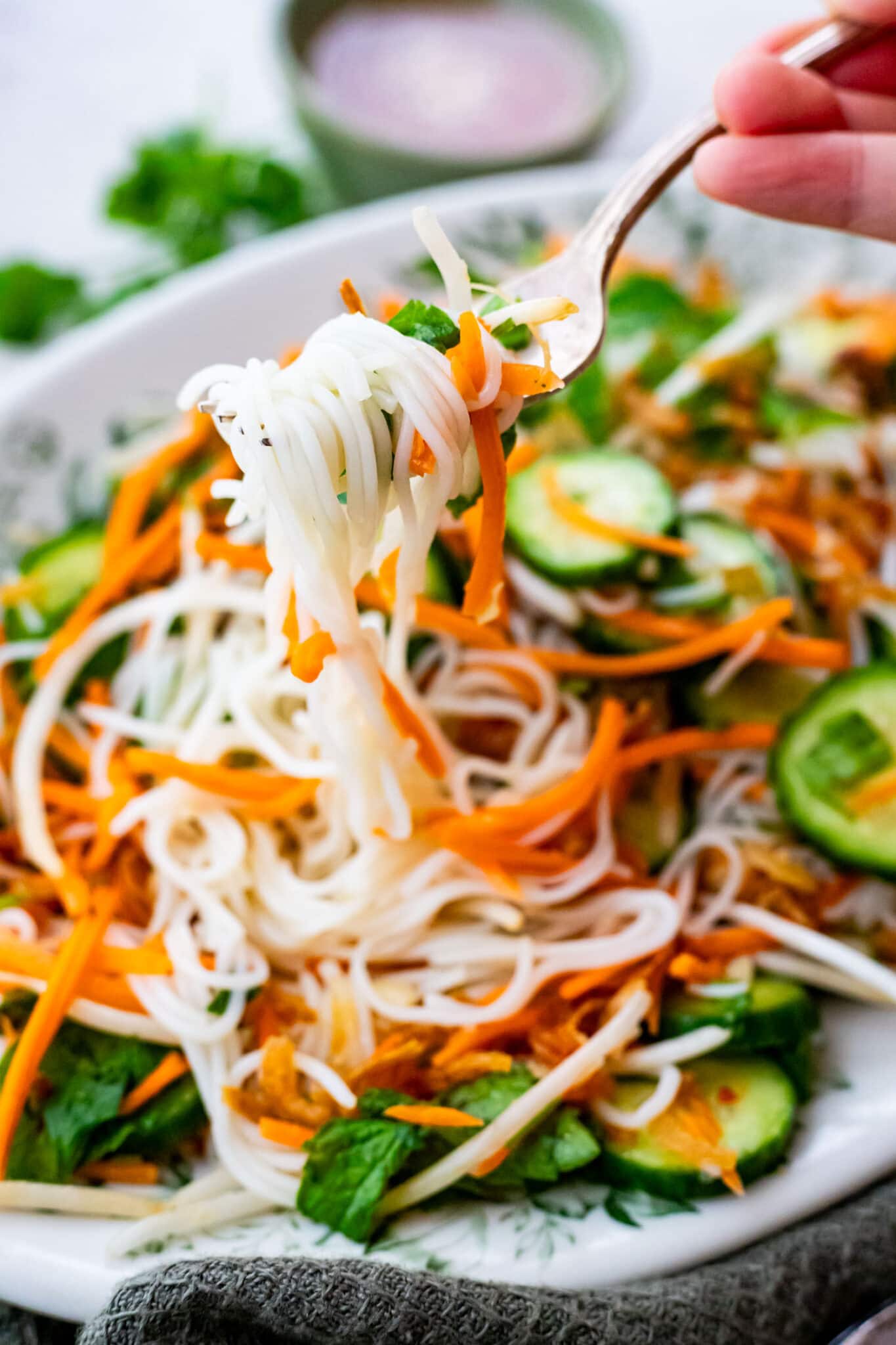 25-Minute Cold Vietnamese Noodle Salad - Cooking Therapy