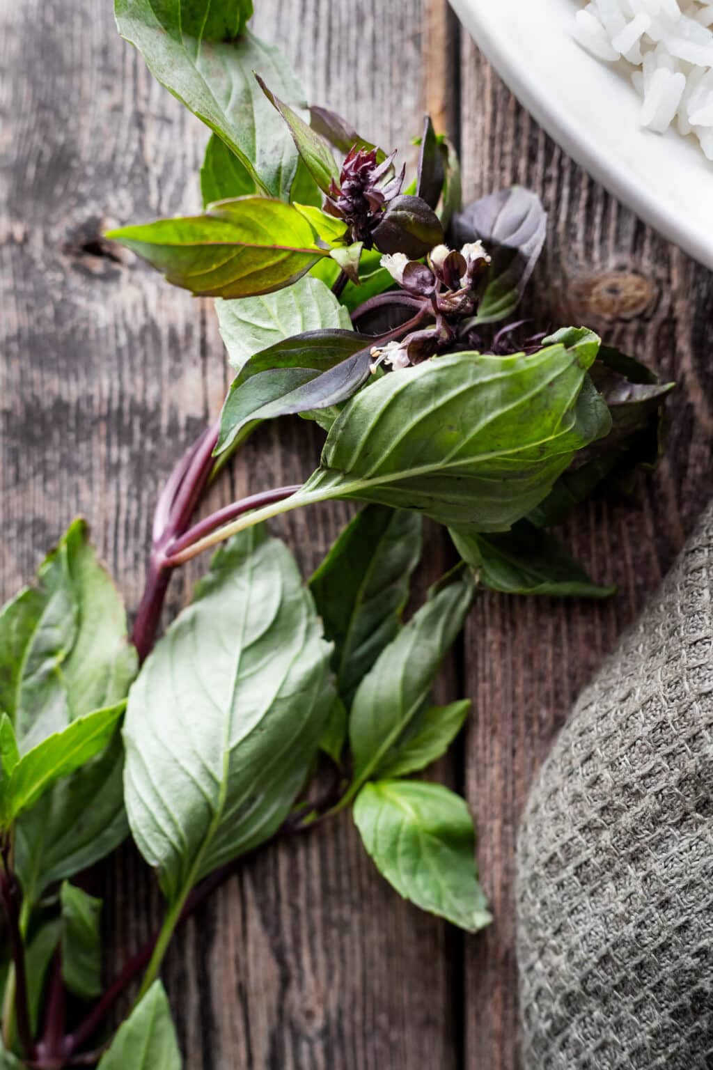 20-Minute Pad Kra Pao (Thai Basil Pork) - Cooking Therapy