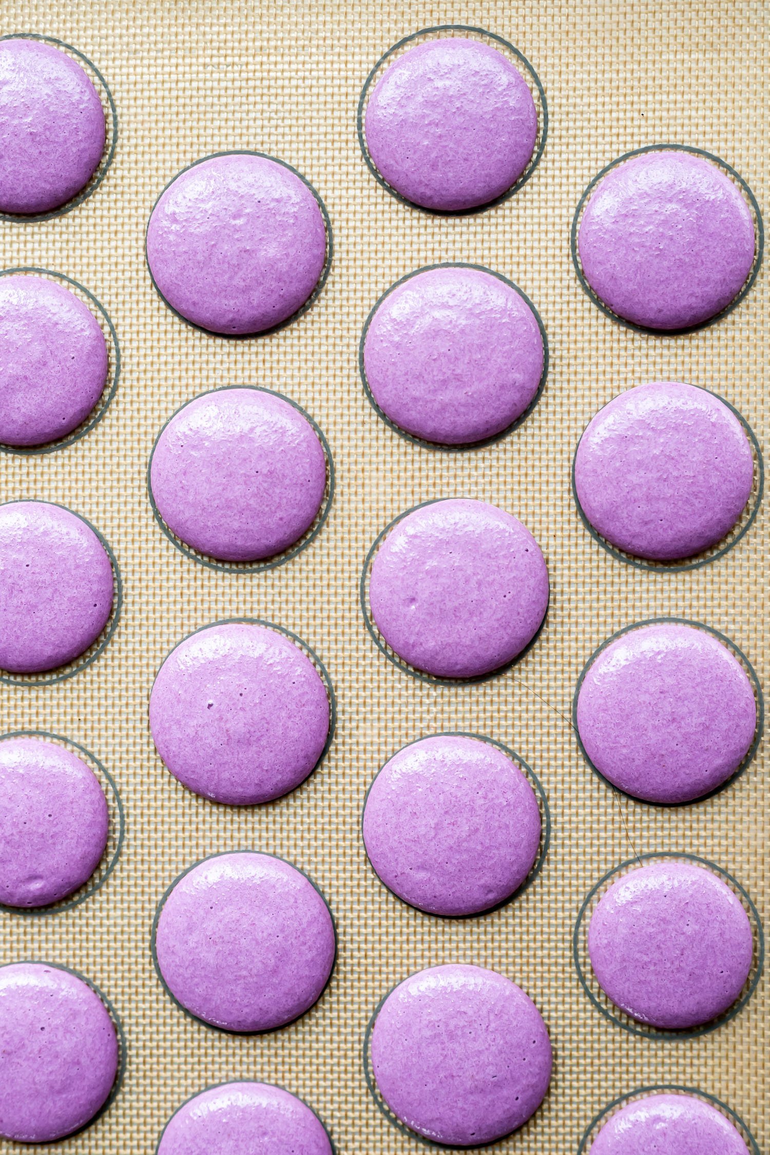 Simple Ube Macarons - Cooking Therapy